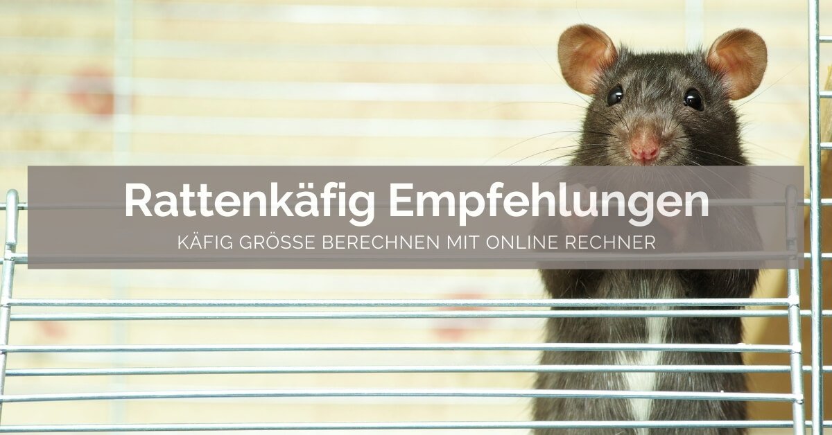 Rattenkäfig Größe berechnen ᐅ Käfig Empfehlungen
